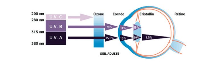 Santé visuelle - OKKIO OPTICIEN à Tournefeuille proche Plaisance du Touch